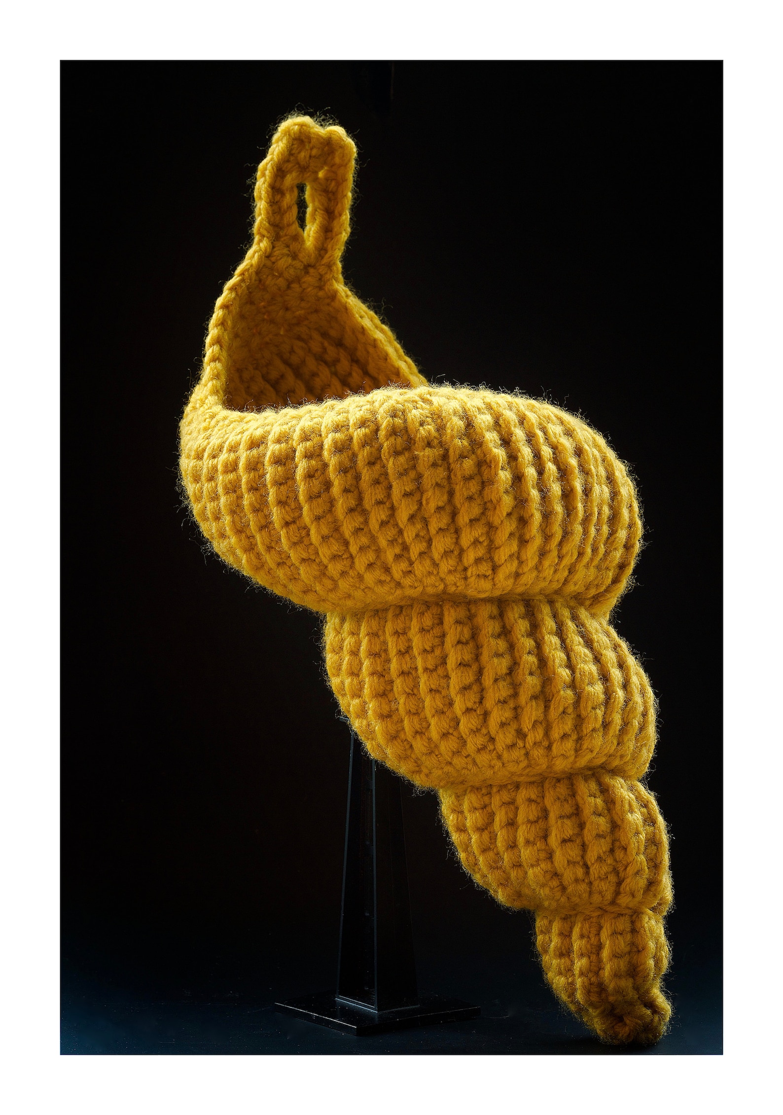 Handmade Crochet Conch Shell / Sea Shell Basket Hanger Storage - Etsy