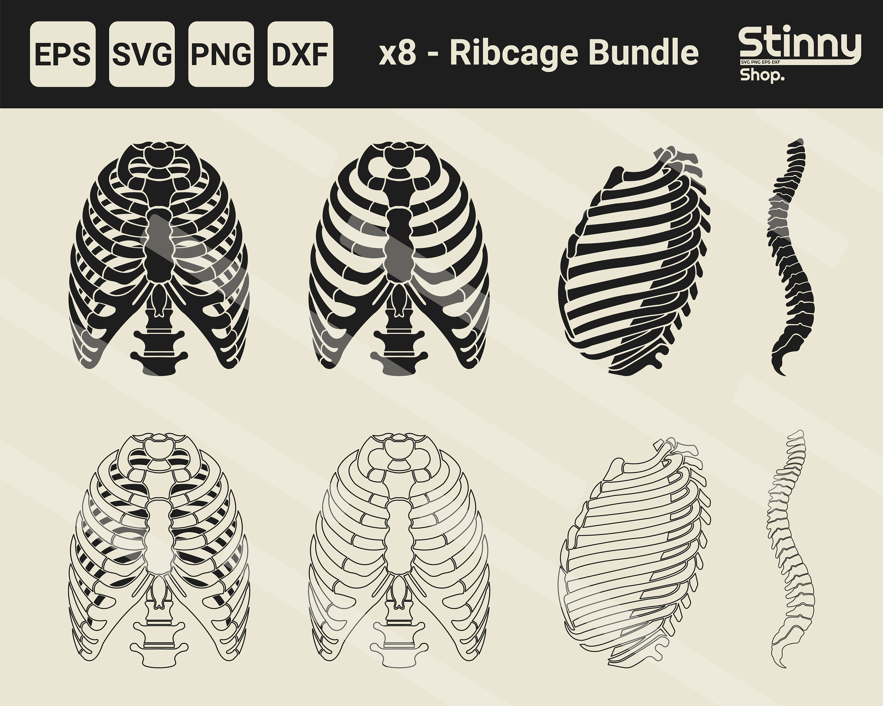 Ribcage Silhouette Bundle - Ribcage Svg, Skeleton Png, Skeleton ...