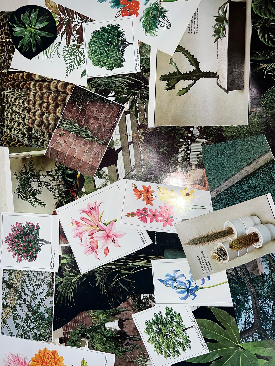 PLANT PACK Paper Ephemera Collage Materials Plant & Flowers Bundle (50 ...