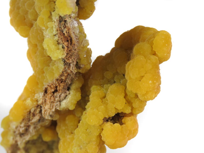 MIMETITE -- Cabinet Mineral Specimen -- San Pedro Corralitos, Chihuahua ...