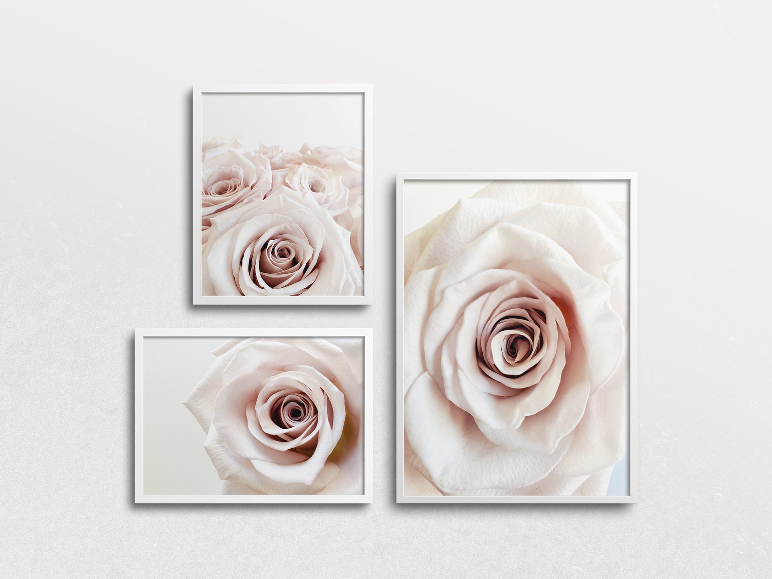 Rose Print, Rose Petals Wall Art, Botanical Print Set of 3, Blush Pink ...
