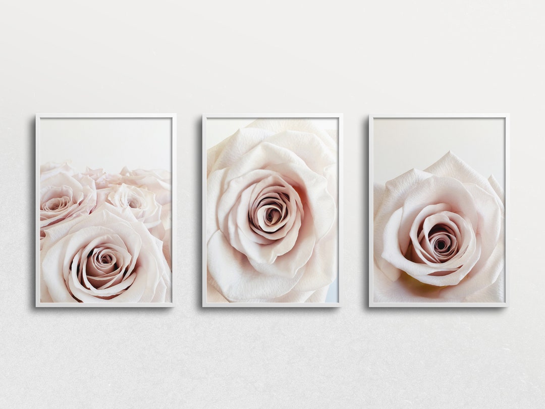 Rose Print, Rose Petals Wall Art, Botanical Print Set of 3, Blush Pink ...