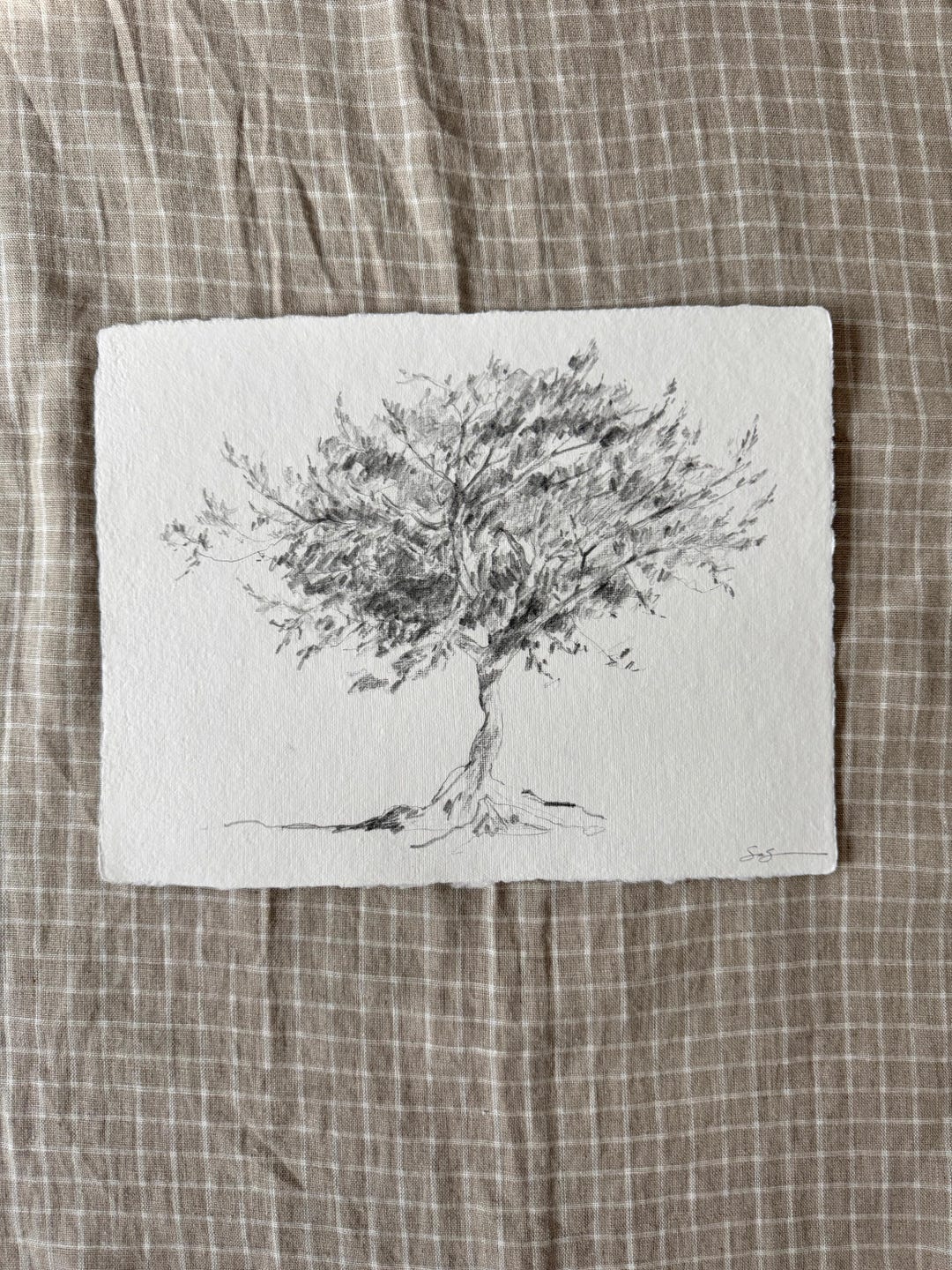 A TREE Sketch, on Handmade Paper, Original DRAWING, ART, Artwork by ...