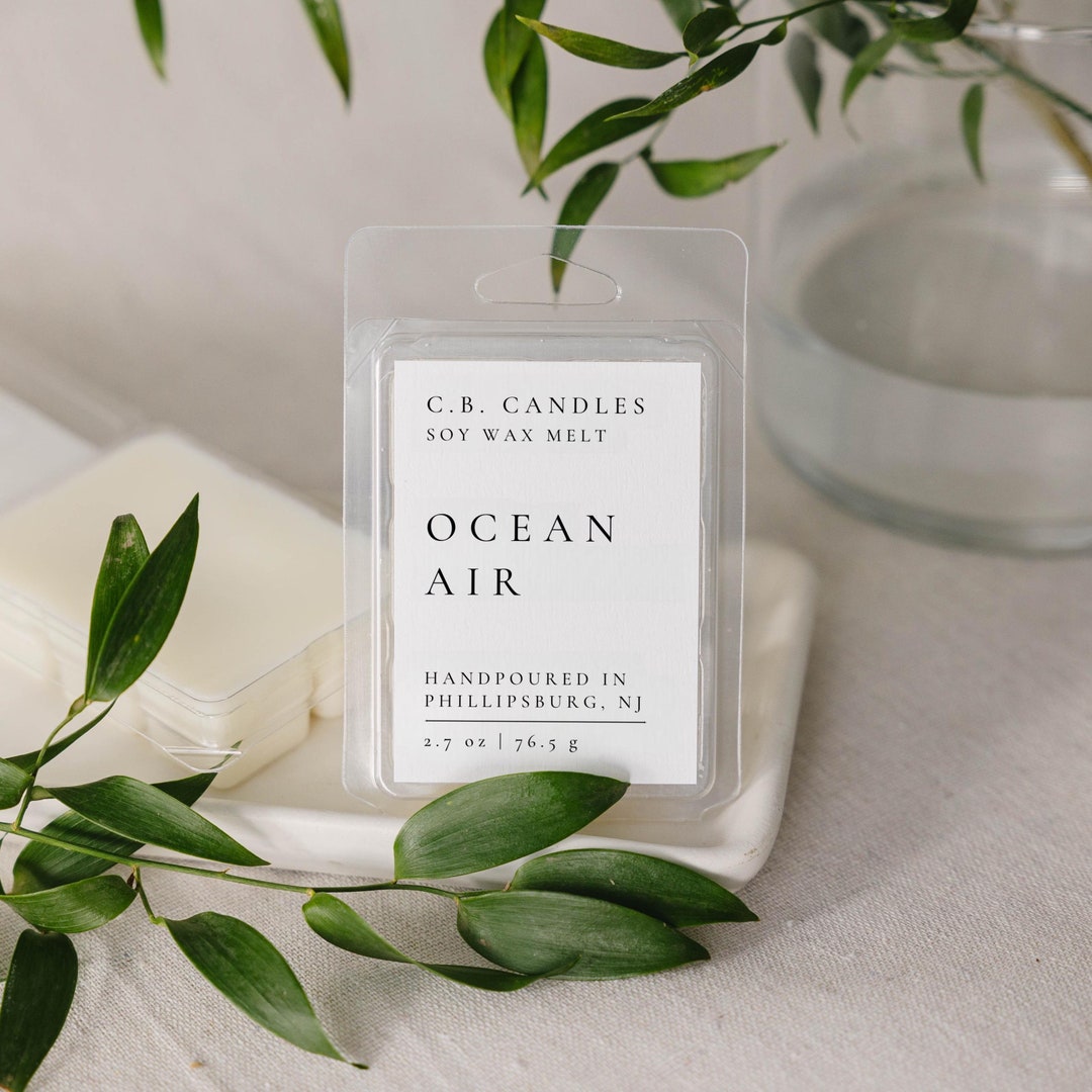 Ocean Air Wax Melt, 100% Soy Wax, Handmade, Summer/earthy Scent ...