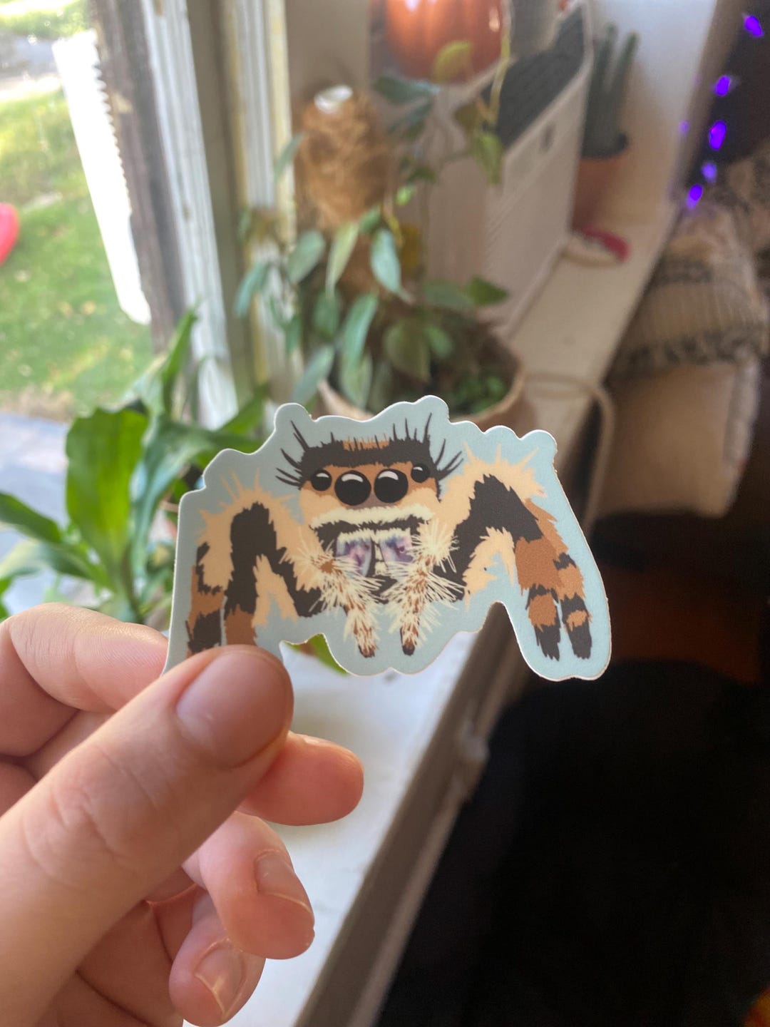 Jumping Spider Stickers Decal - Etsy