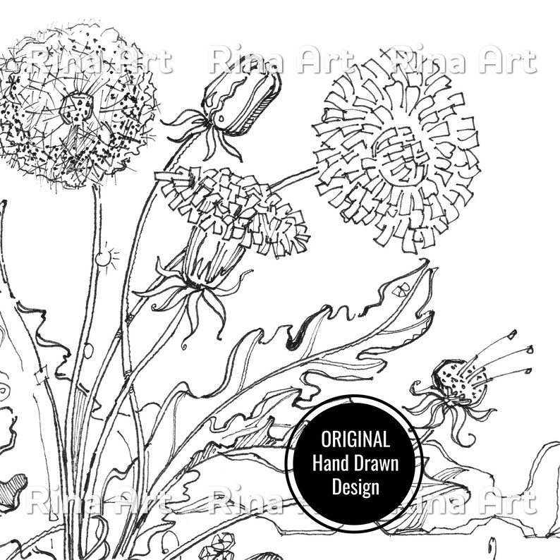 Dandelions | Coloring Page | Printable Adult Colouring Pages Book ...