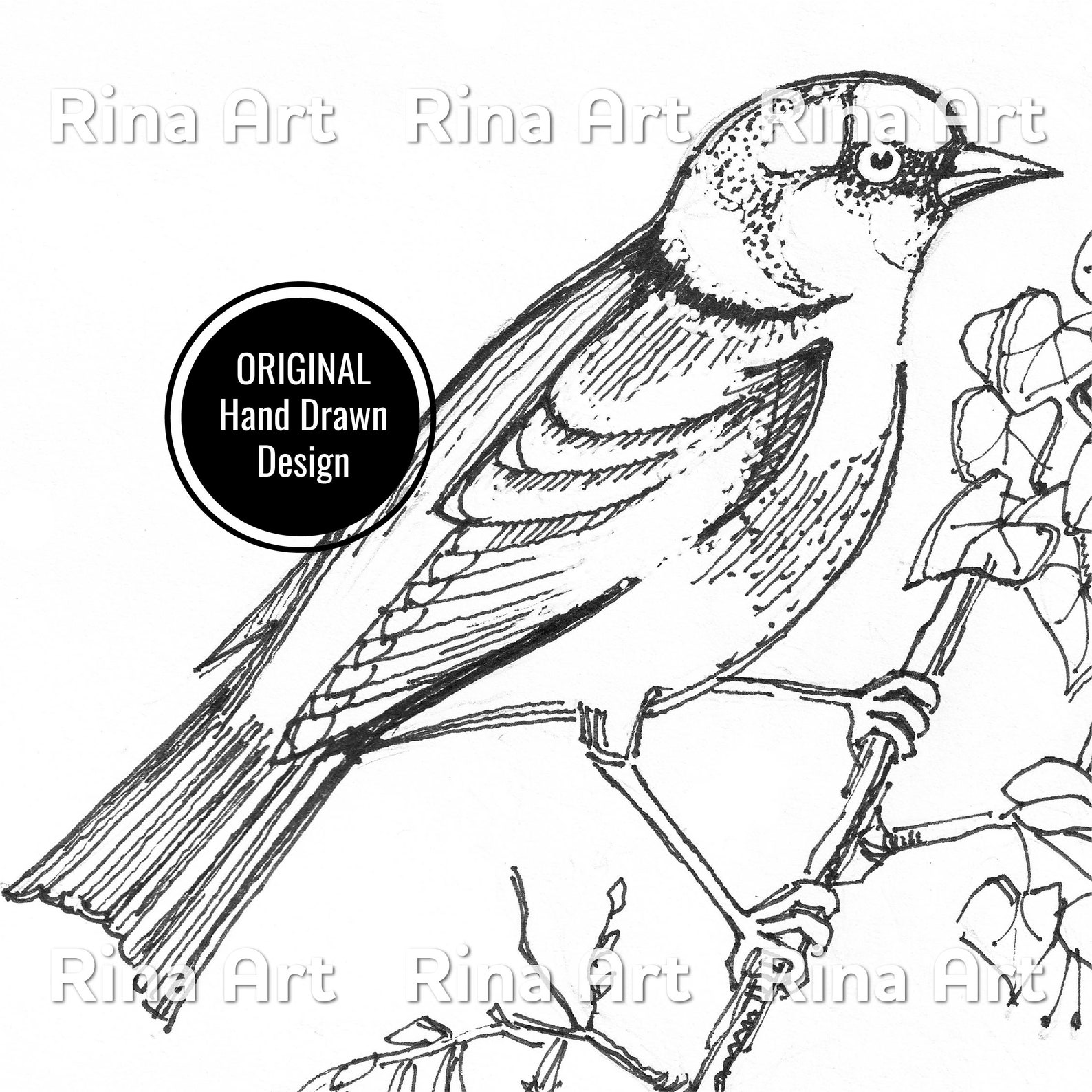 Goldfinch and Tit | Coloring Page | Printable Adult Colouring Pages ...