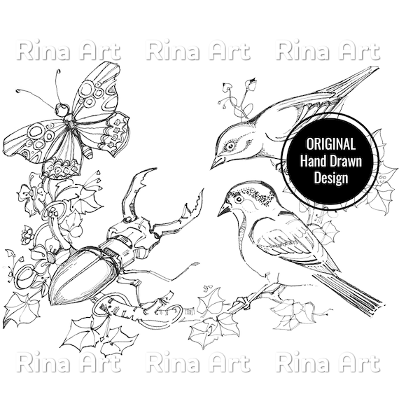 Birds and Insects Coloring Page Printable Adult Colouring | Etsy