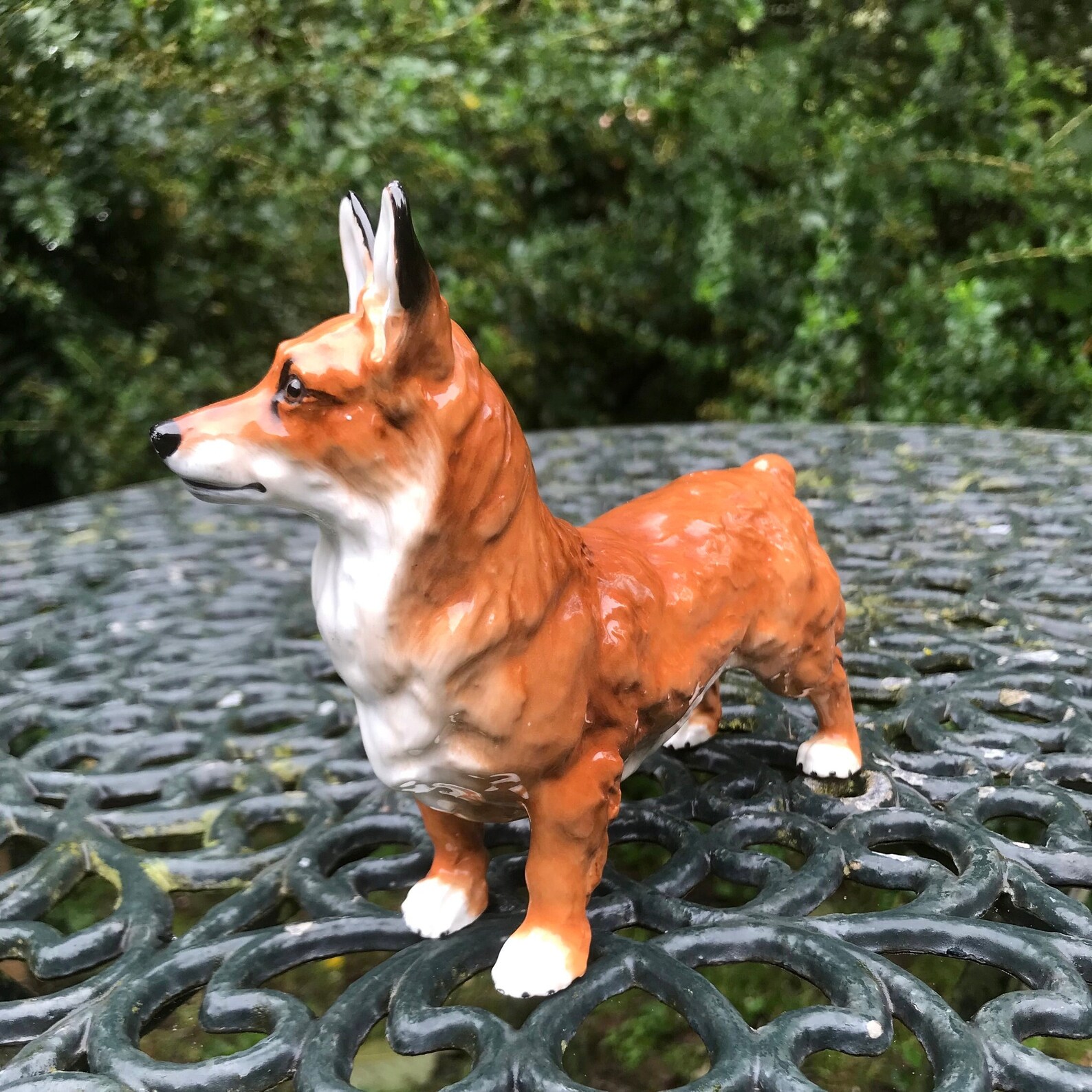 Royal Doulton Early Welsh Corgi Ch.'spring Robin'hn 2558 Model 1050A 5 ...