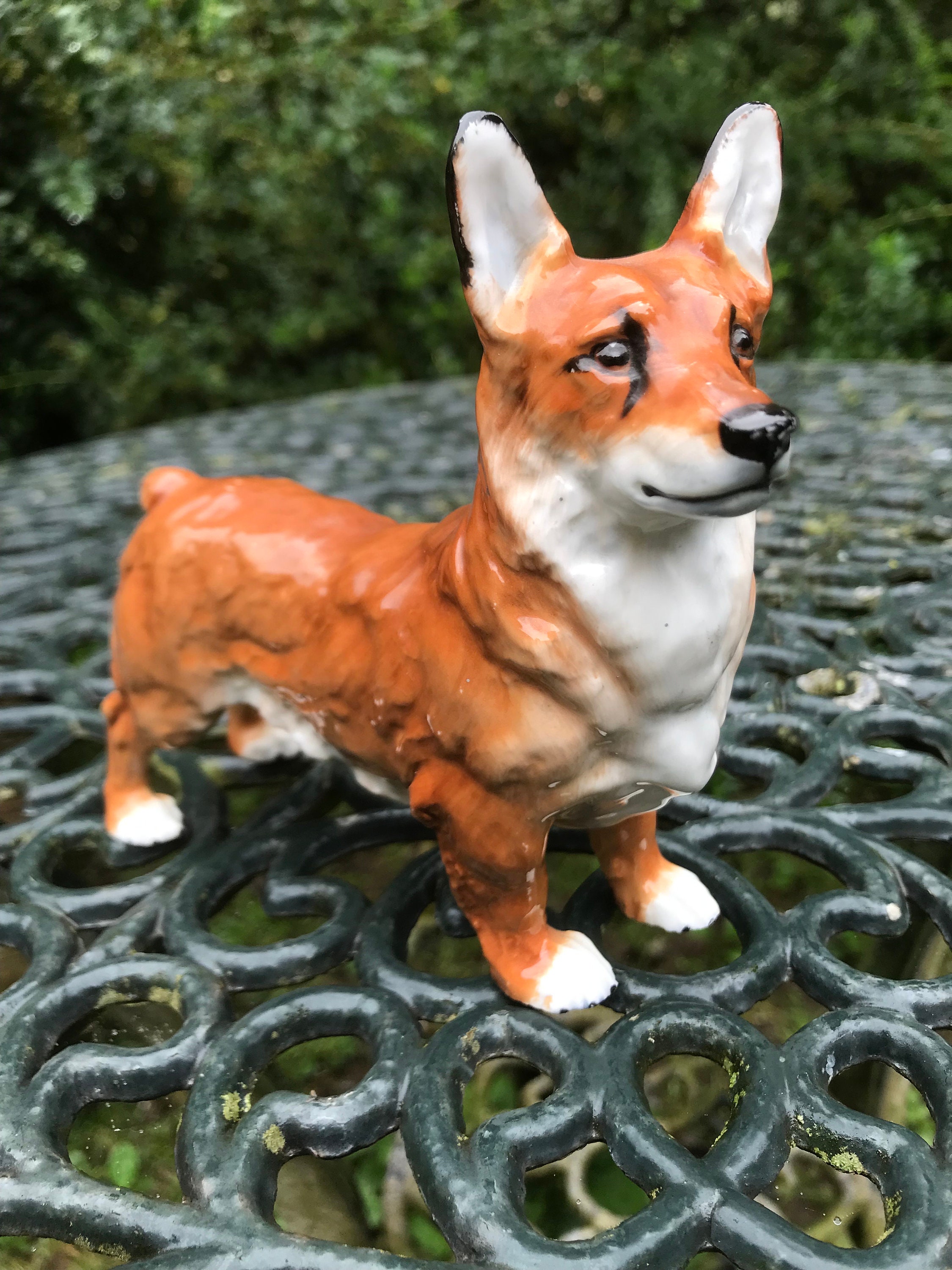 Royal Doulton Early Welsh Corgi Ch.'spring Robin'hn 2558 Model 1050A 5 ...