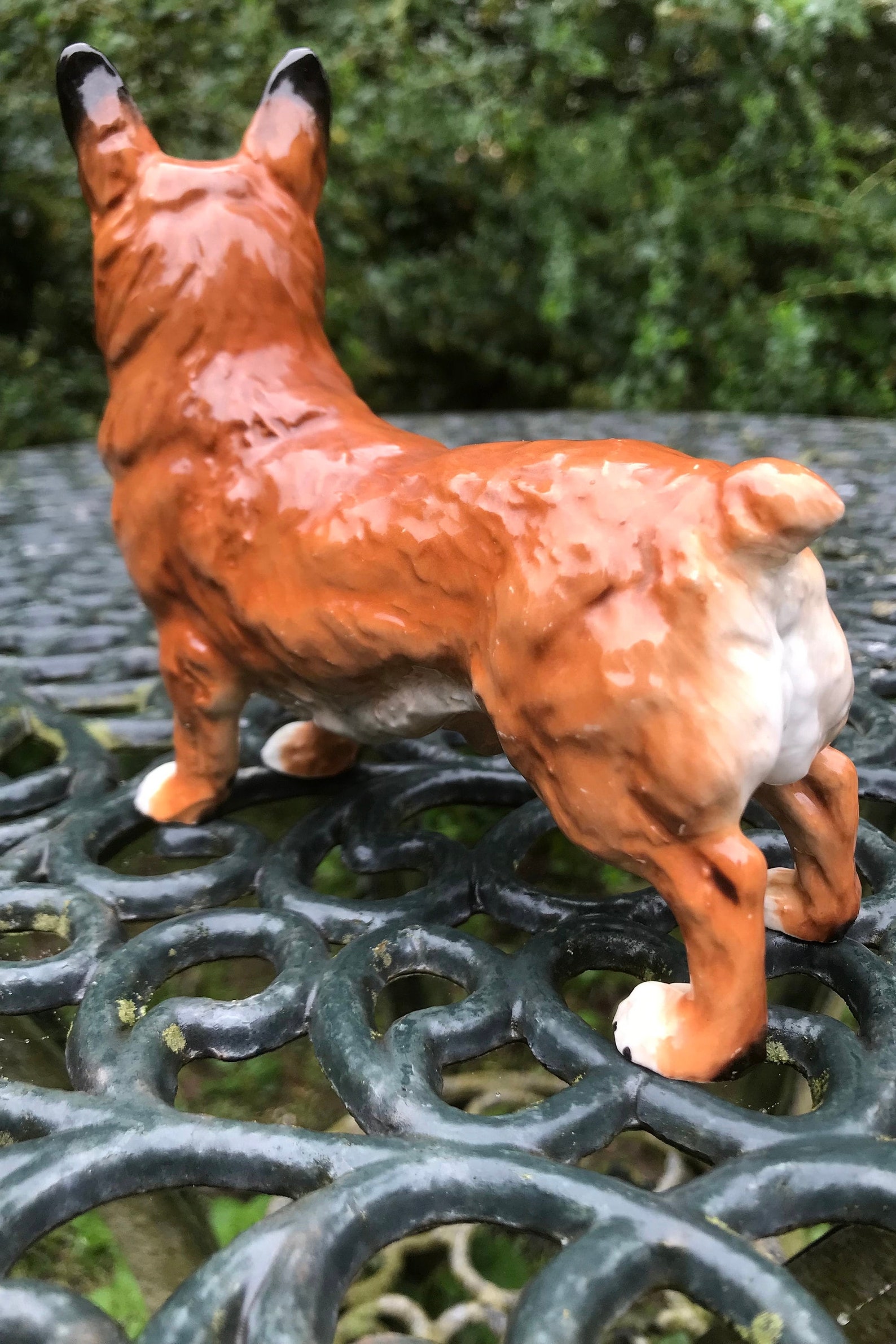 Royal Doulton Early Welsh Corgi Ch.'spring Robin'hn 2558 Model 1050A 5 ...