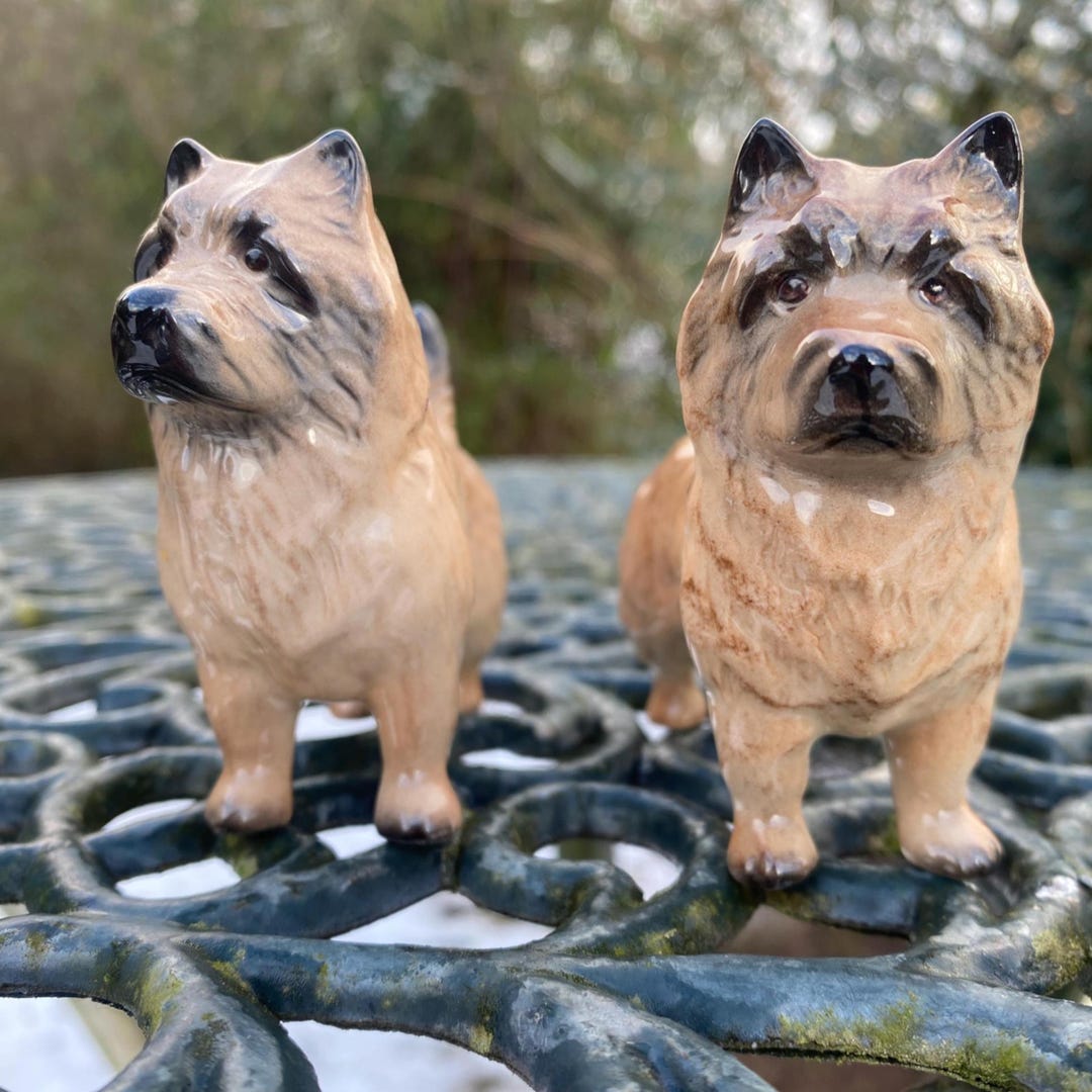 Beswick Cairn Terrier Figurine: Gloss Dark Cream, Model 2112 - Etsy