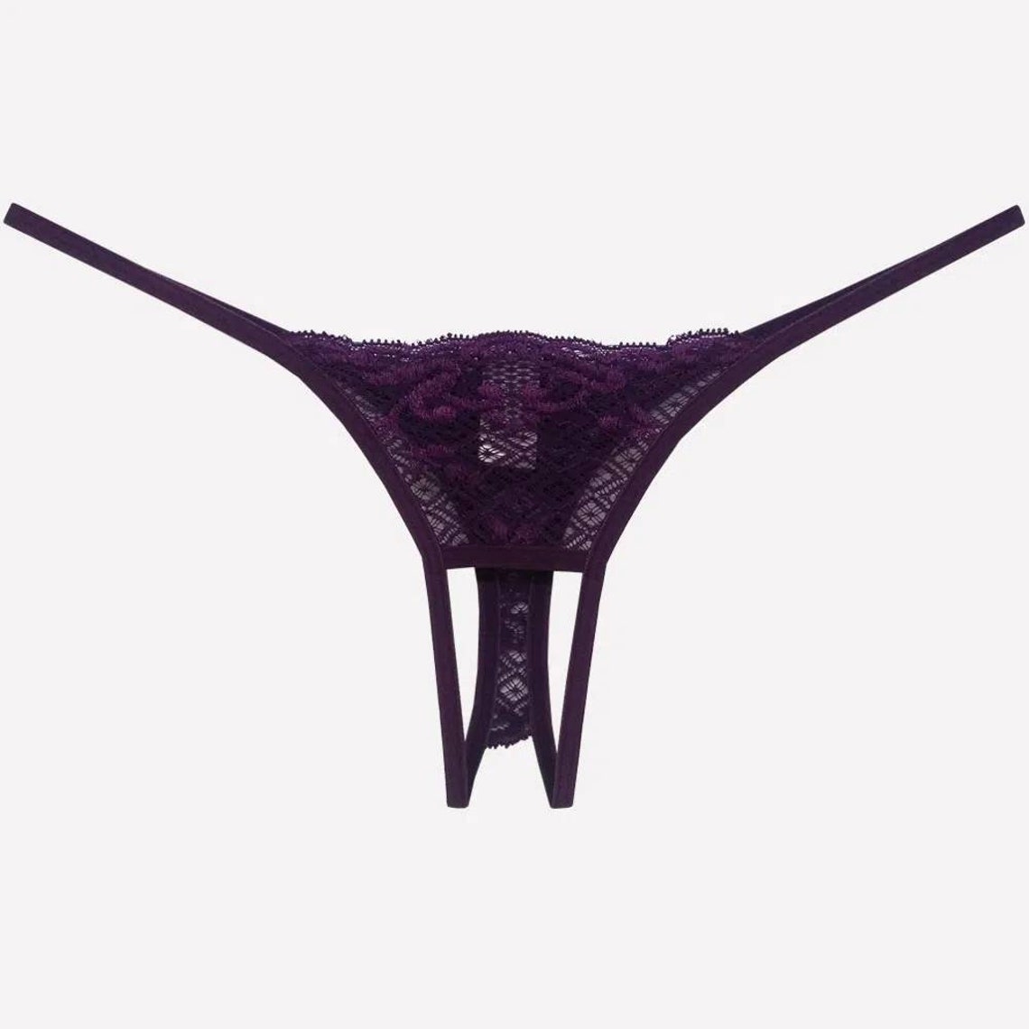 Crotchless Panties, Open Crotch Lingerie, Sheer Lingerie, Sexy Thong ...