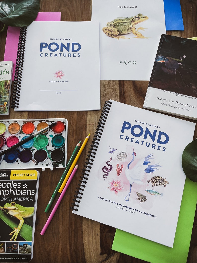 Simple Studies: Pond Creatures - Etsy