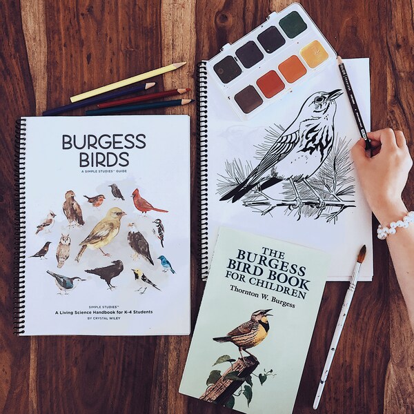 Bird Study - Etsy