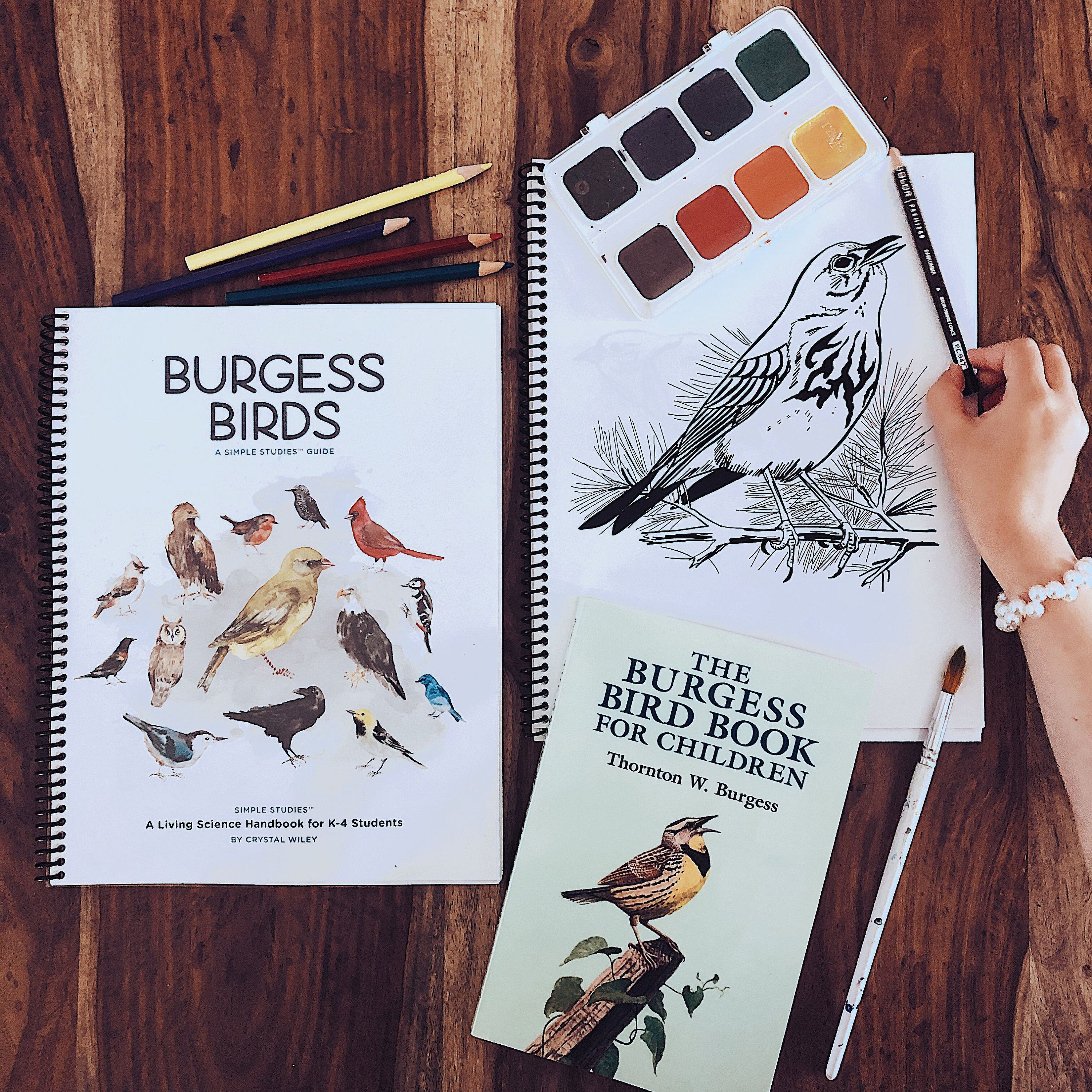 Burgess Birds: A Simple Studies Guide - Etsy