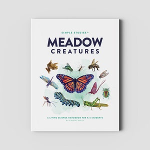 Simple Studies: Meadow Creatures - Etsy