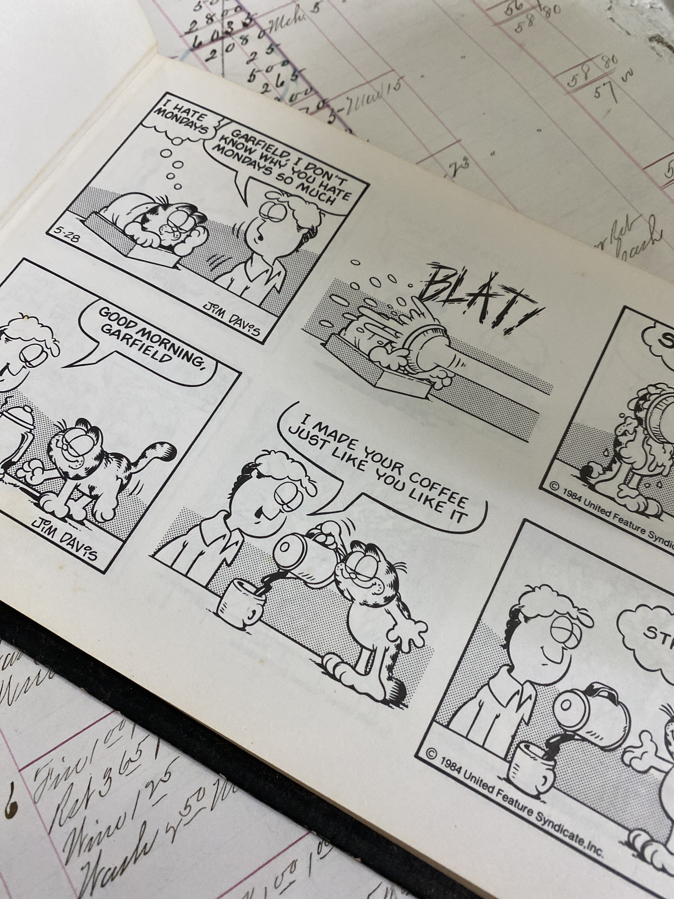 Vintage Garfield Rolls on Book - Etsy