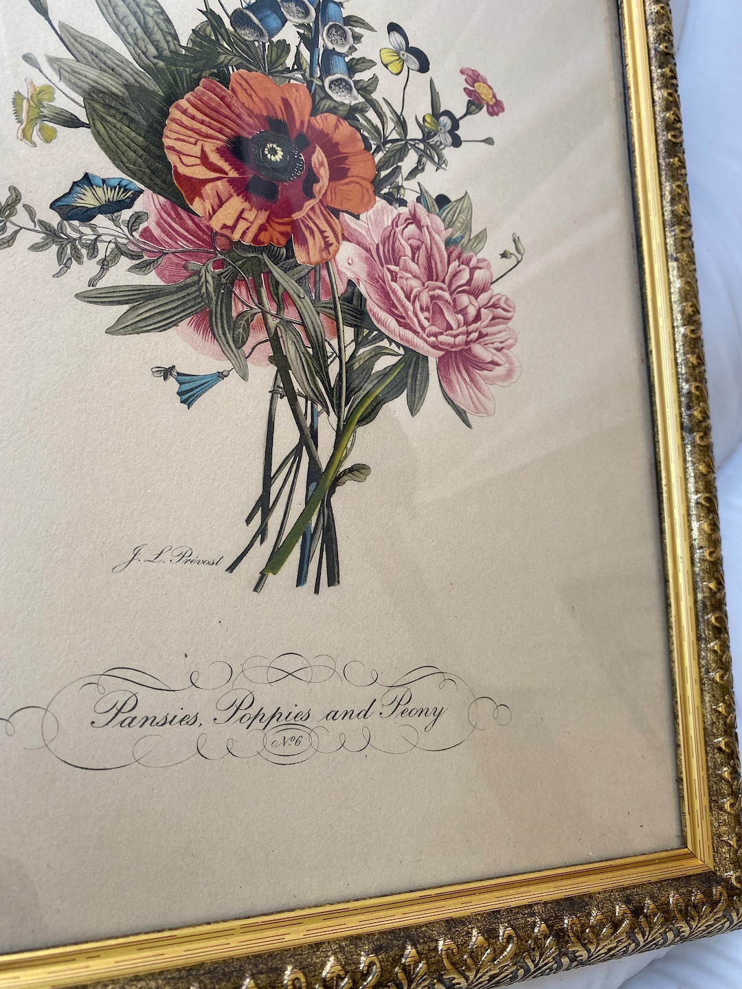 Jean Louis Prevost Hand Colored Print "lankspur, Primula, Narcissus No ...