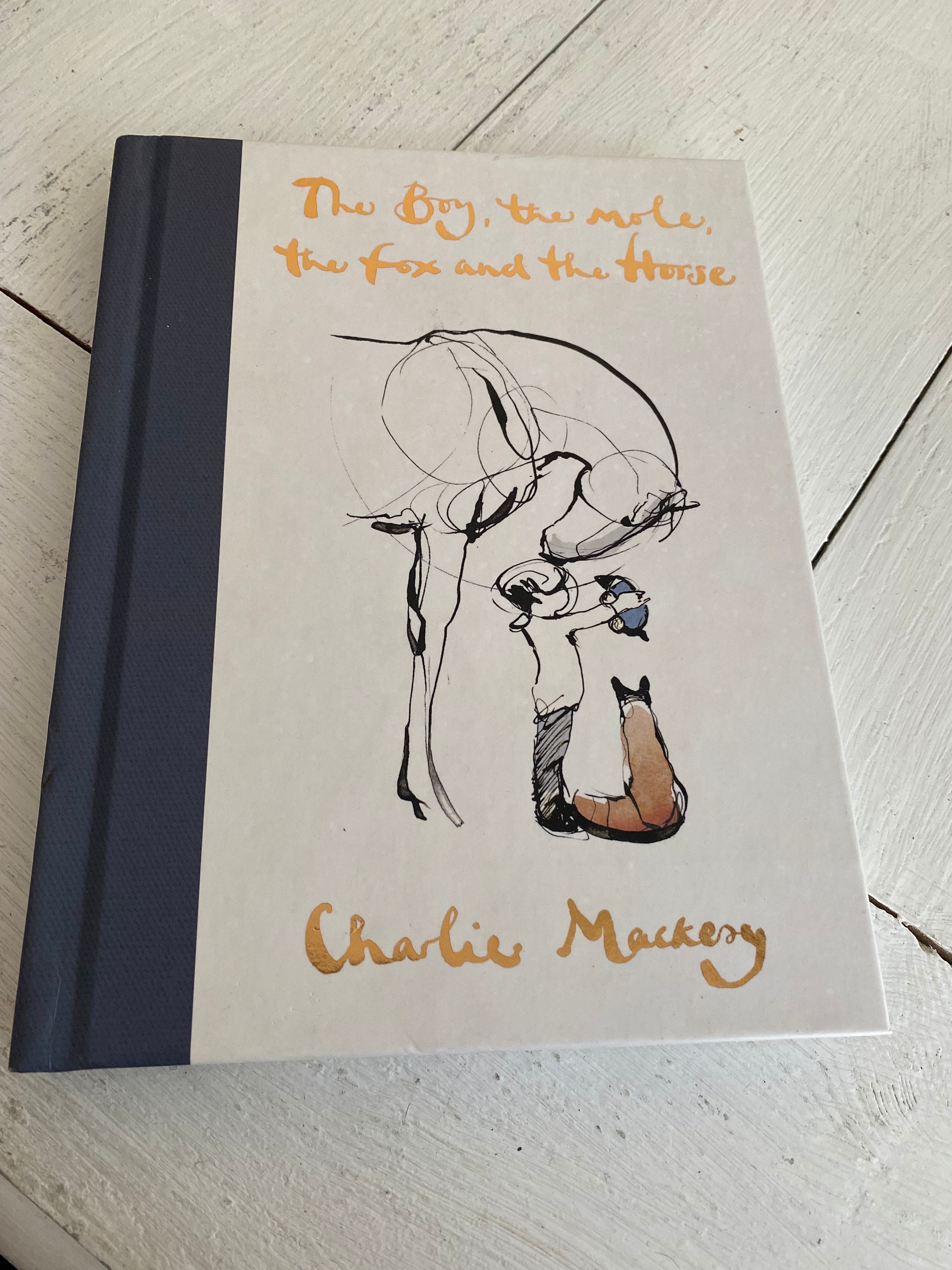 The Boy, the Mole, the Fox and the Horse Charlie Mackesy 2019 1st Print ...