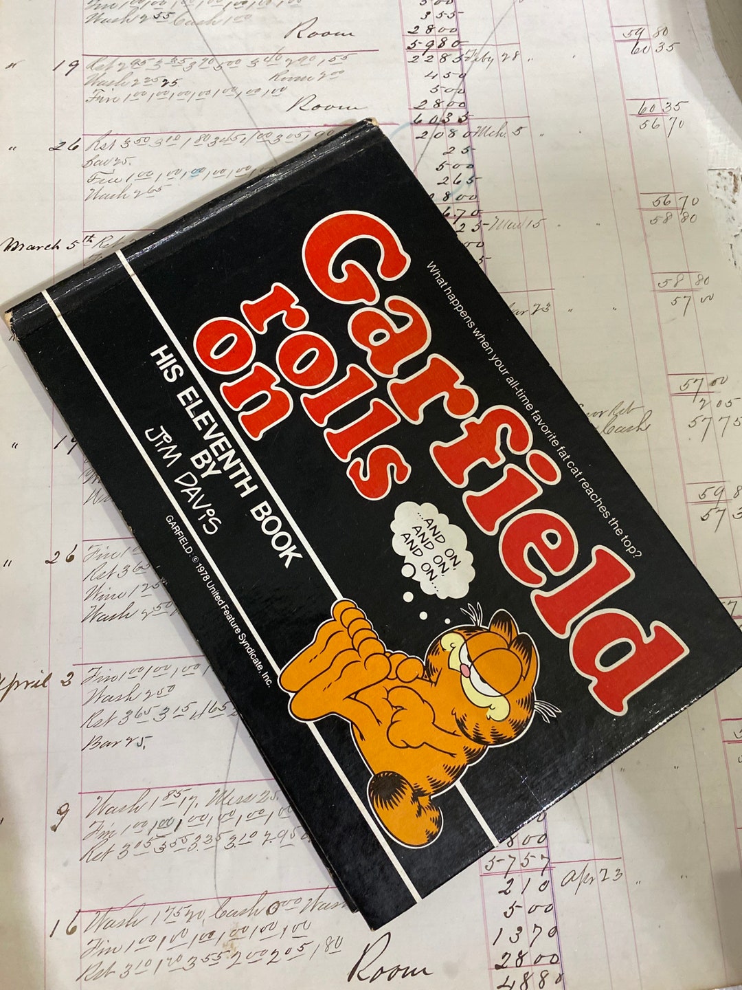 Vintage Garfield Rolls on Book - Etsy