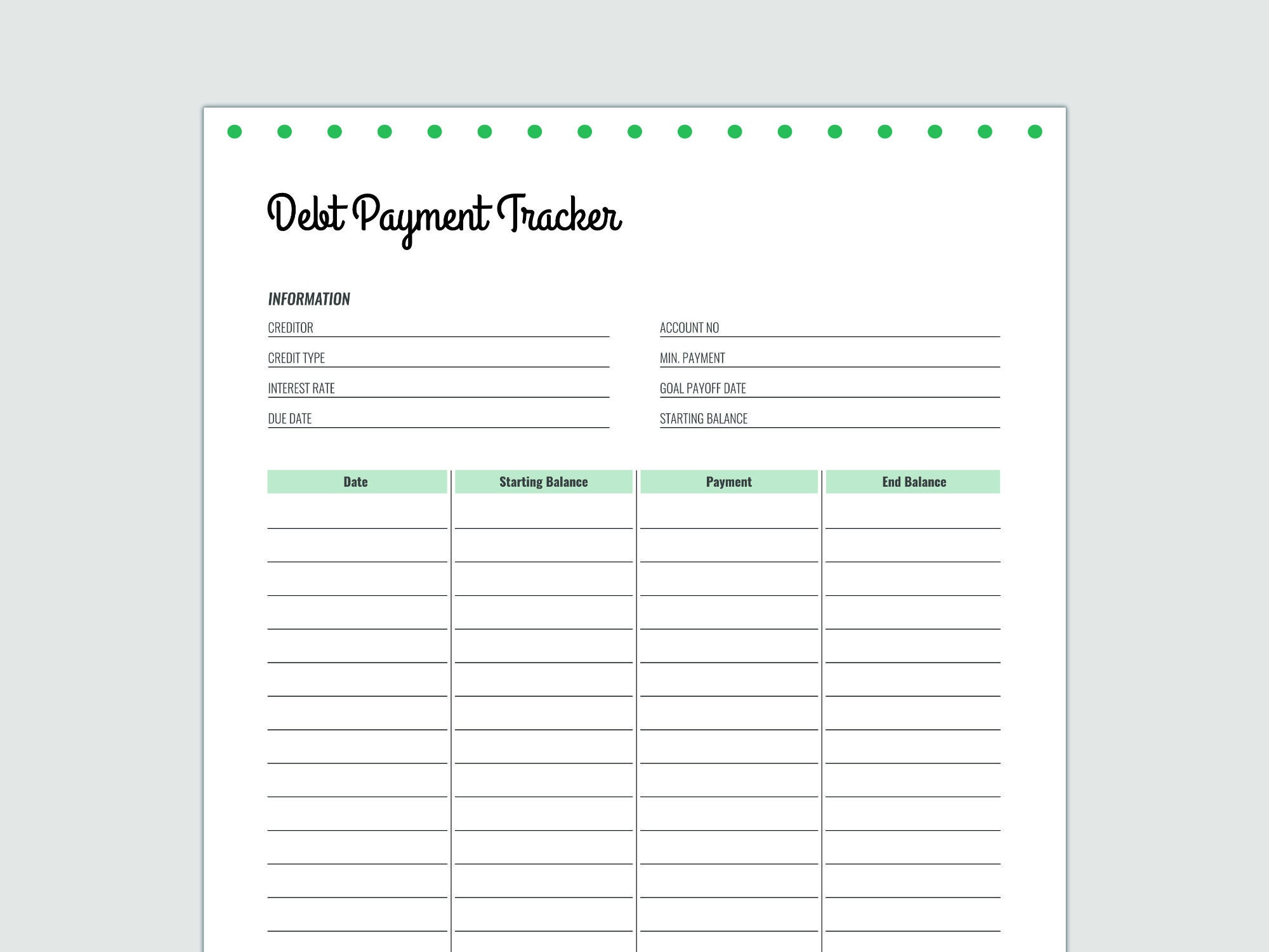 Debt Payment Tracker Printable Form, Money Planner, Budget Planner ...
