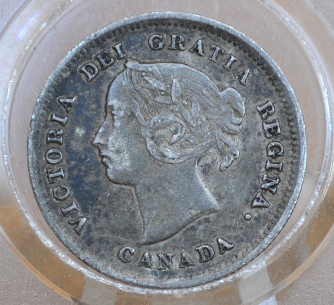1888 Canadian Silver 5 Cent Coin - Choose by Grade, Low Mintage Date ...