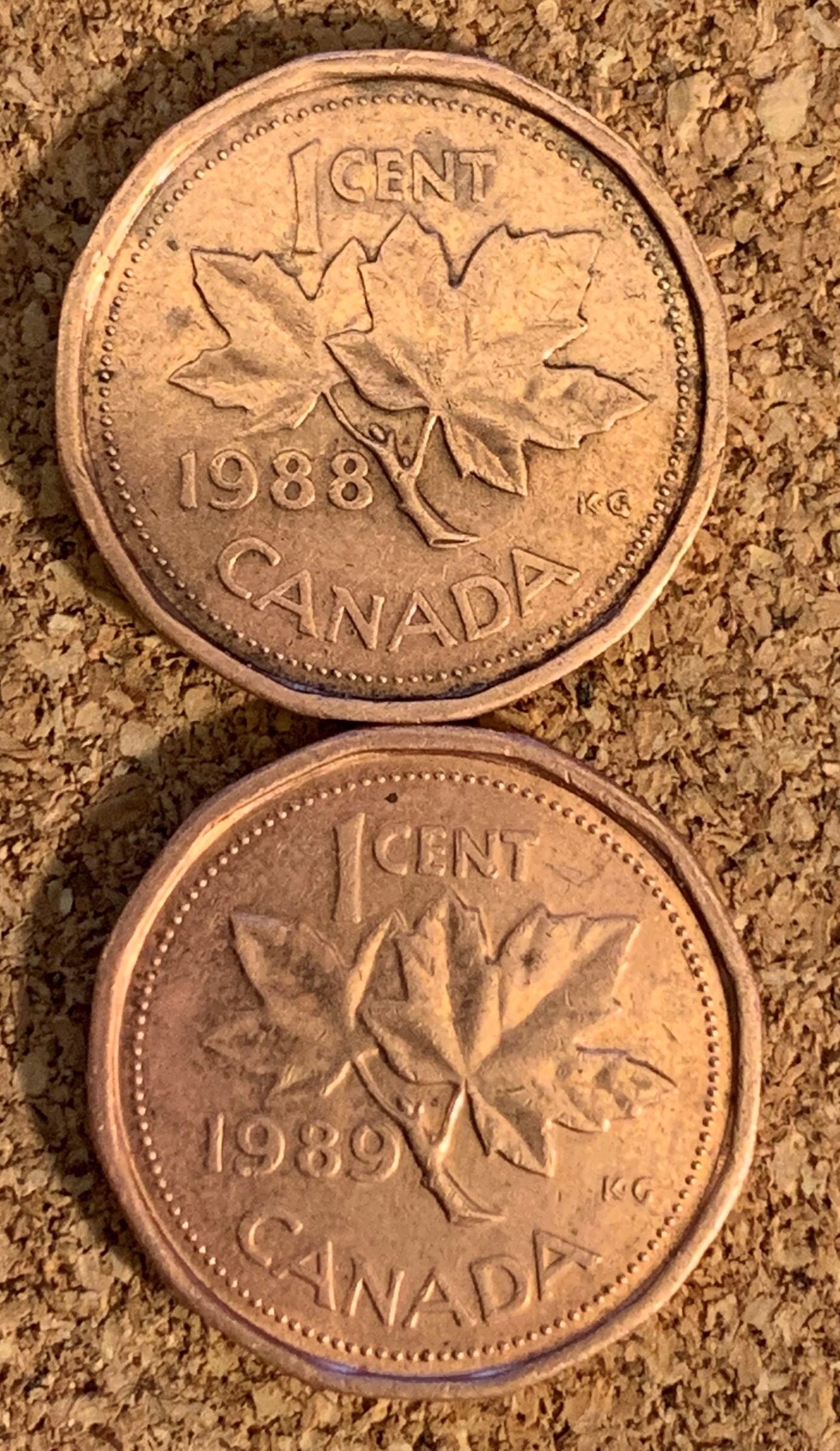 Canadian Penny 1988