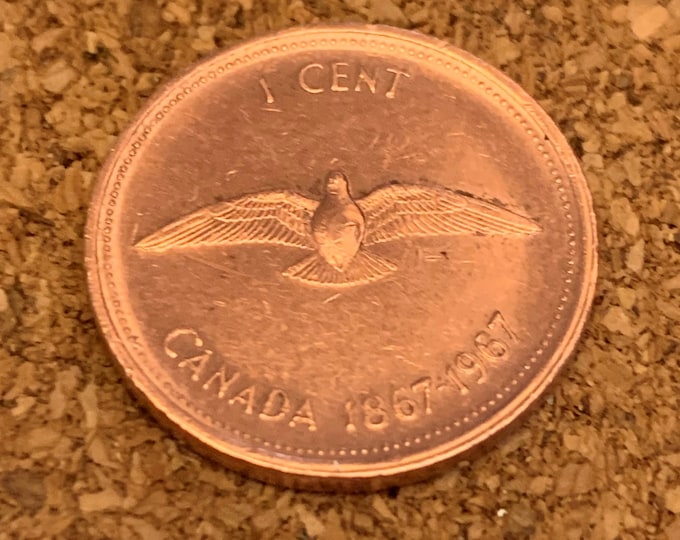 1967 One Cent Clipped Canadian Penny Rare Collection - Etsy Canada