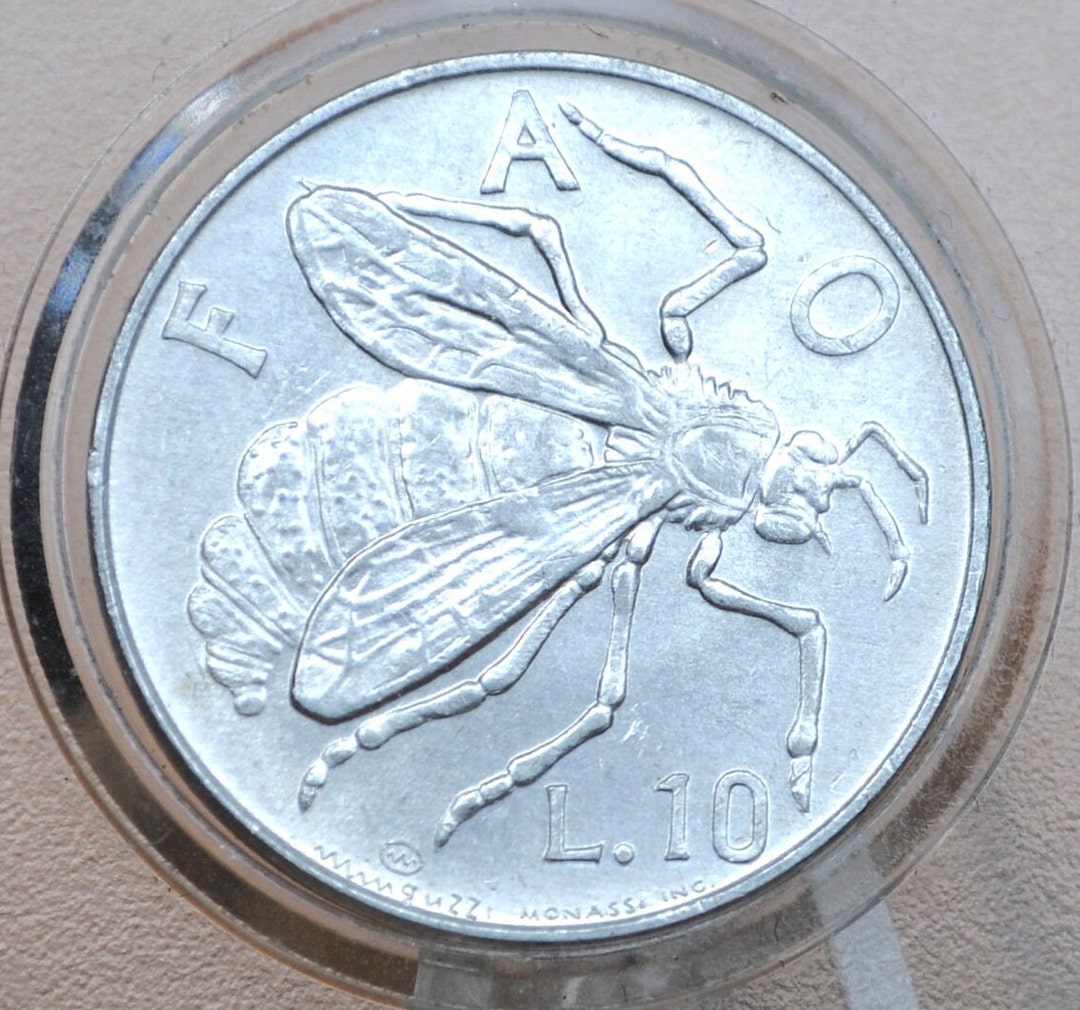 Italian Honey Bee Coins - Options for Different Designs on Dates and ...