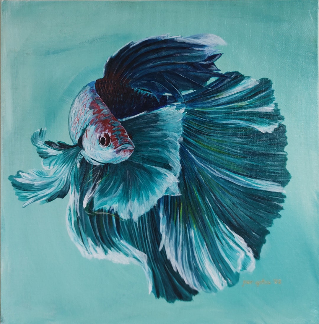 Betta Fish teal/deep Green - Etsy