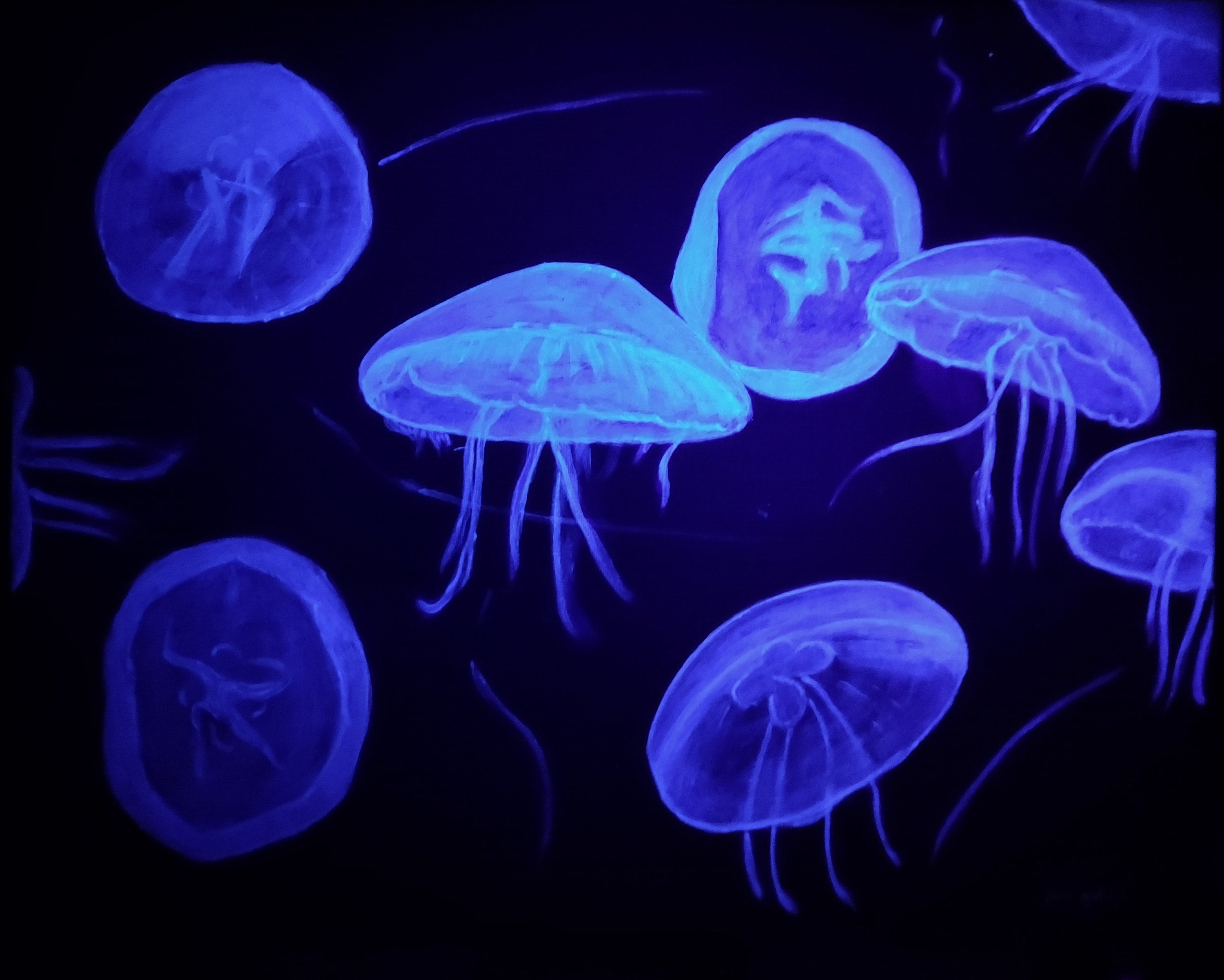 Jellyfish UV Reactive Painting glow in the Dark - Etsy