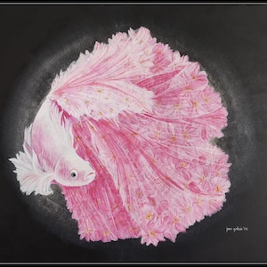 Betta Sakura (pink Betta Fish/cherry Blossoms) - Etsy