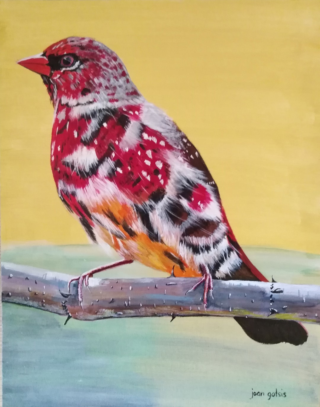 Red Avadavat Acrylic Painting - Etsy