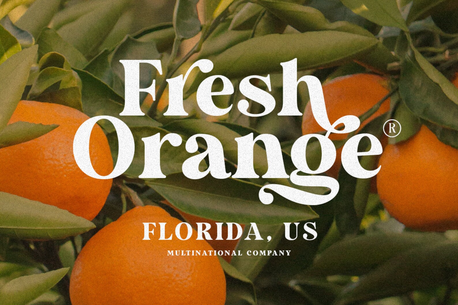 Duke Charming A Unique Bold Serif Serif Font Stylish Font - Etsy