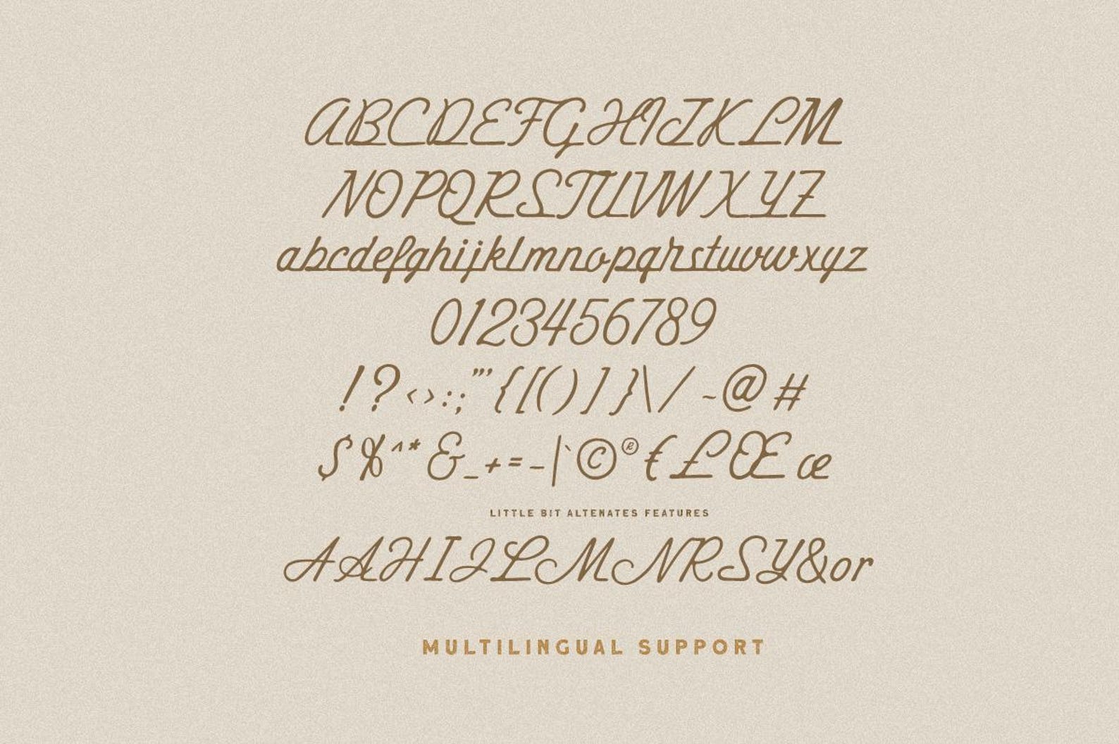 Hustle Trip Monoscript Font: Vintage Bold Script - Etsy