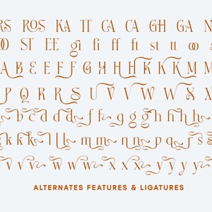 Auratica Serif Font: Stylish, Elegant Typeface - Etsy