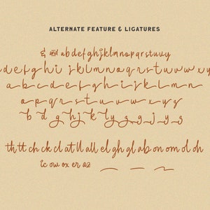 Cutesy Carmen - Handwritten Script, Beauty Font, Monoline, Casual ...