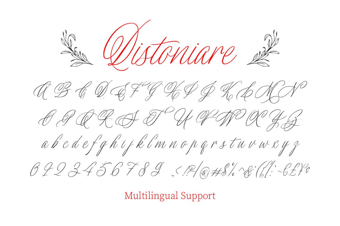 Distoniare Pretty Script, Script Font, Beautiful, Ornament, Signature ...