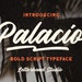 Palacio Bold Script Font: Groovy Retro Typeface - Etsy Canada