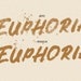 Euphoria Shades SVG, Quirky Font, SVG Font, Display Font, Textured Font ...