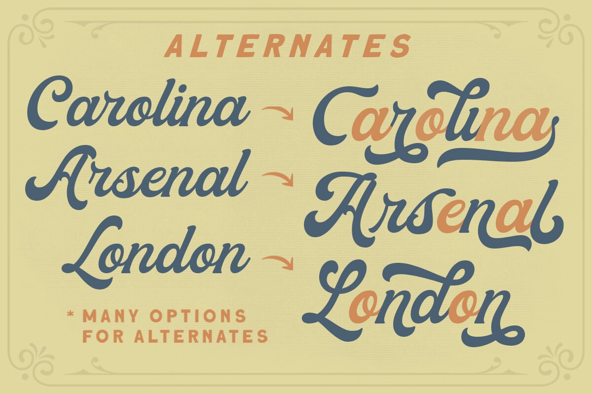 Moraline Bold Script Font: Retro Groovy Typeface - Etsy