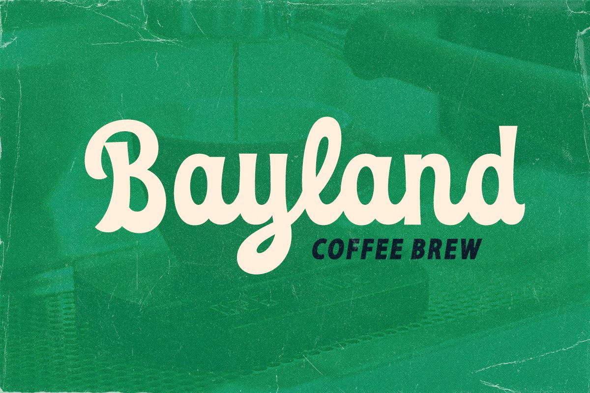 Merlight , Bold Script, Logo Font, Vintage Font, Retro Font, Groovy ...