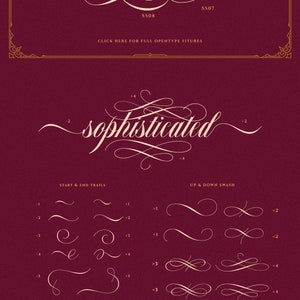 Bordemile Luxury Script Font: Elegant Glamour, Wedding Swashing, - Etsy