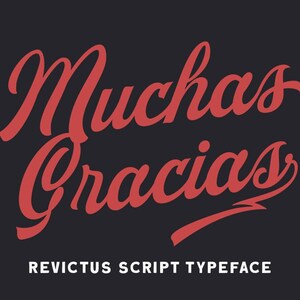 Revictus Script, Vintage Font, Gritty Font, Rustic Font, Retro Font ...