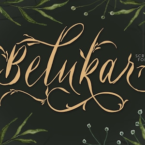 Belukar - Unique Display Script, Script Font, Display Font, Ornament Font, Swash Font, Unique ...
