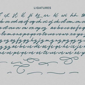 Marielle Brush Script, Handwritten, Quote, Casual Font, Signature ...