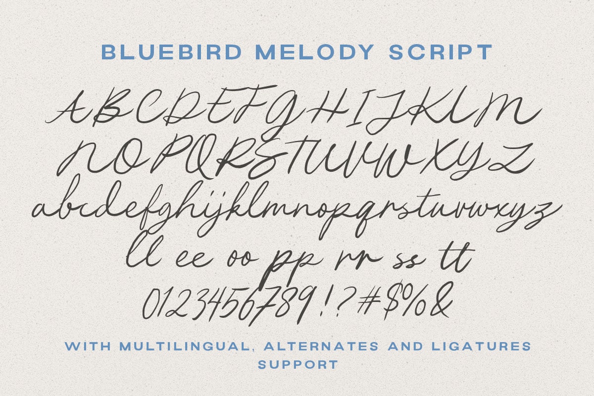 Bluebird Melody, Organic, Hand Drawn, Font Duo, Script, Sans Serif ...