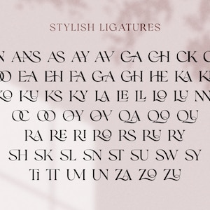 Romans Story: Luxury Ligature Serif Font - Etsy