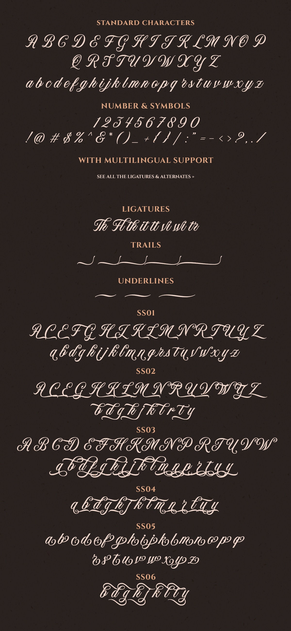 Neography Script Font: Attractive Cursive With Swashes - Etsy